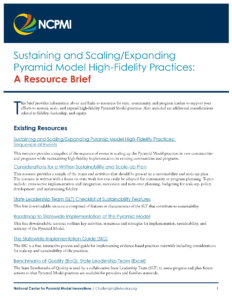 Statewide Implementation and Scale-up of the Pyramid Model - National ...